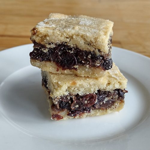 Currant Fruit Squares (Flies' Graveyards) - Suzanne Bakes